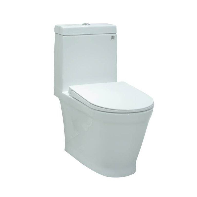 One-piece Toilet - Bravat Commode in Bangladesh